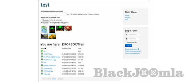 Dropbox Component 4.0.5